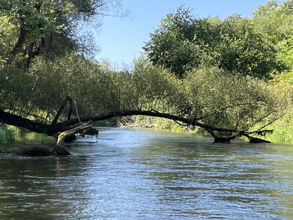 Kayaking the Kinnickinnic River - Sherri The Outdoor Adventurer