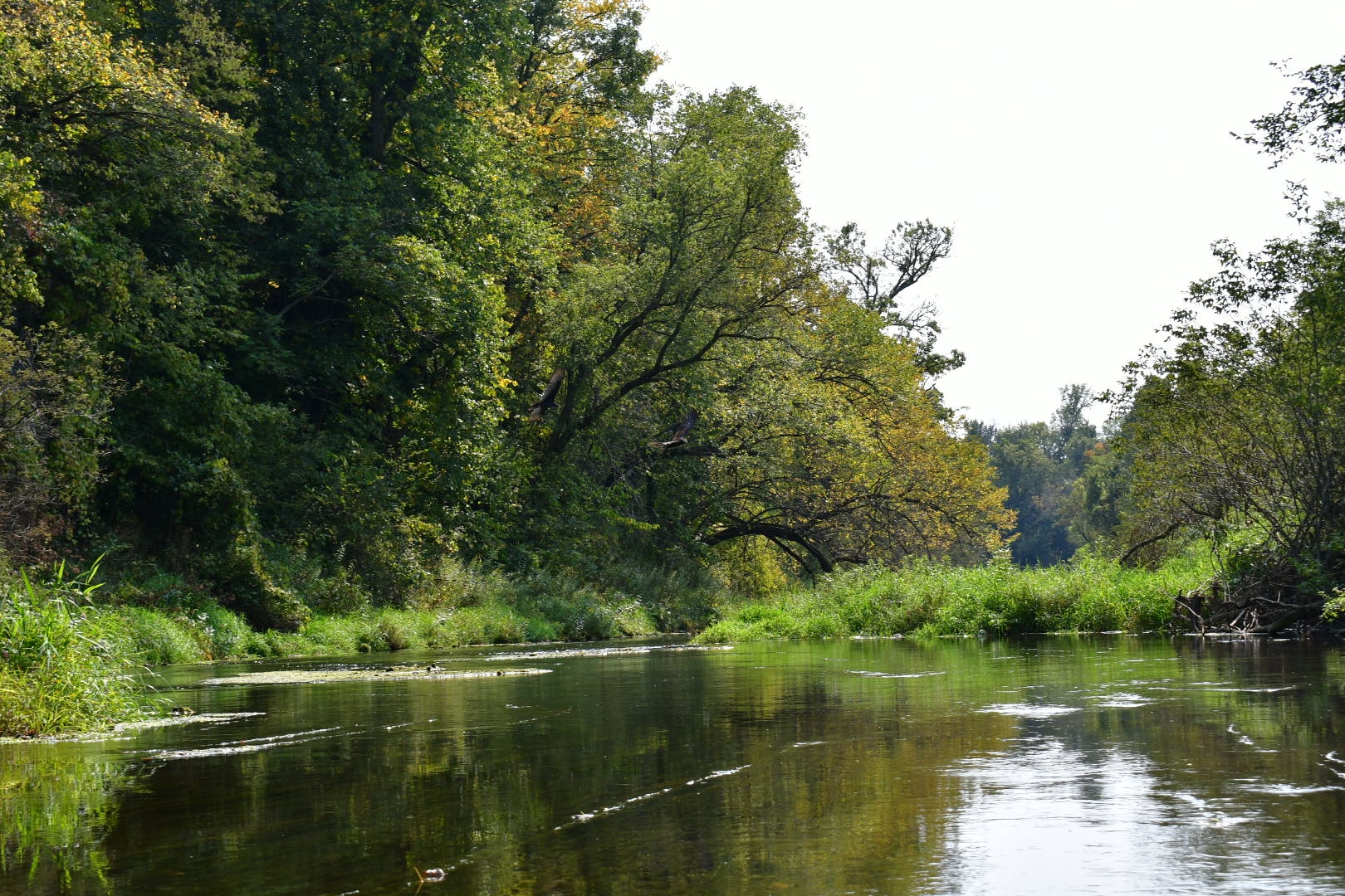 Rush River Kayaking - Sherri The Outdoor Adventurer